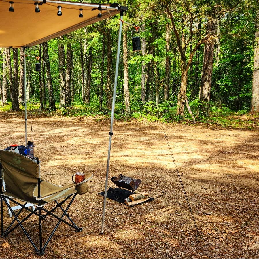 Adams Mountain Rd Dispersed Campsite | Hector, Arkansas