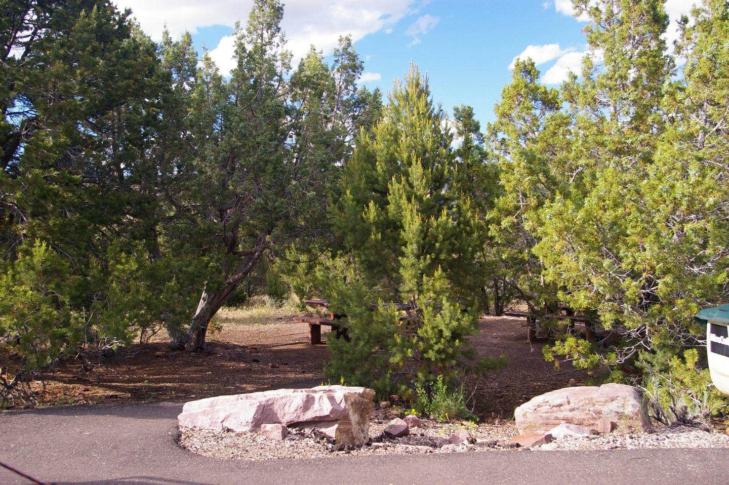 Cedar Springs Campground | Manila, UT