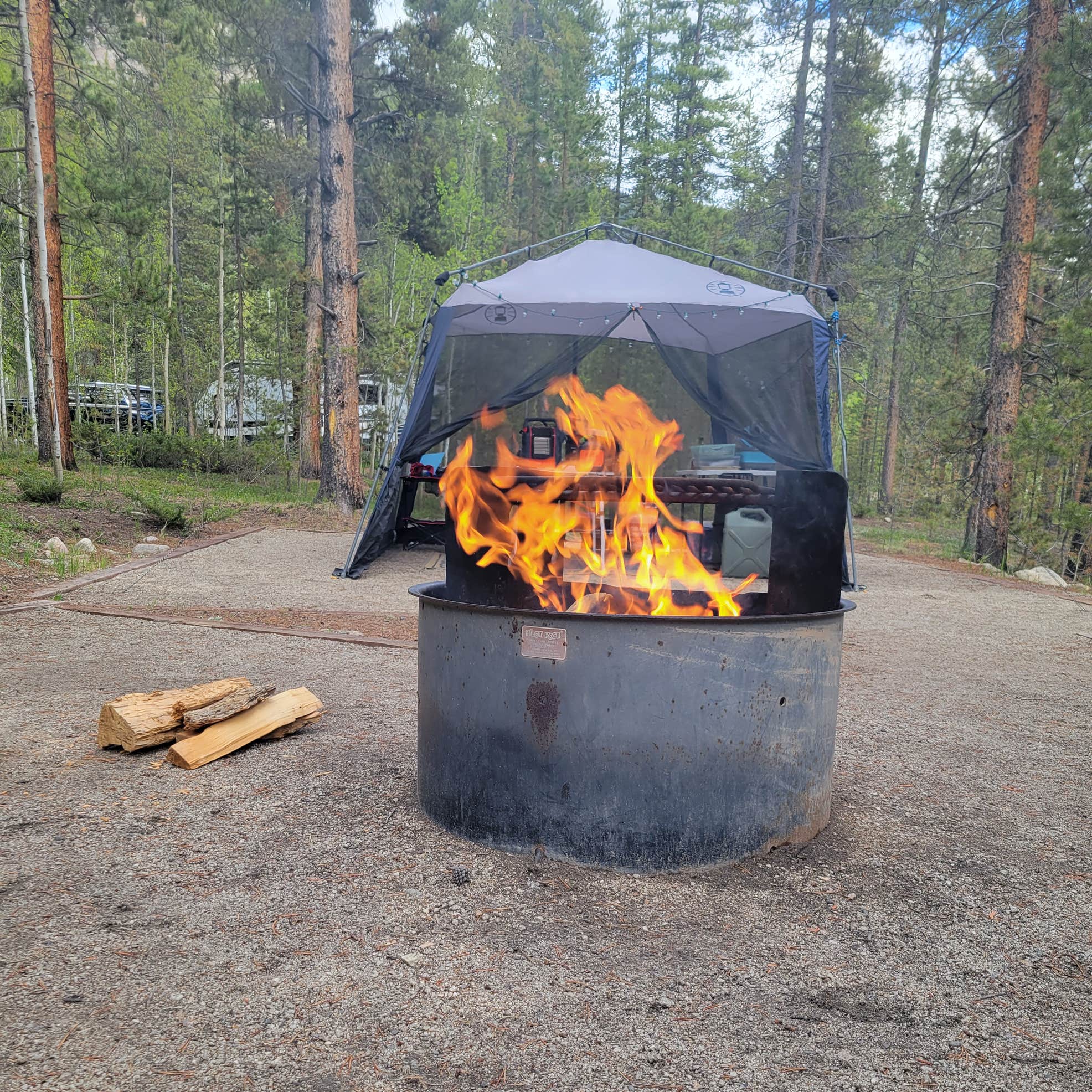 Lottis Creek Campground | Gunnison, CO