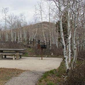 Currant Creek Camping | The Dyrt