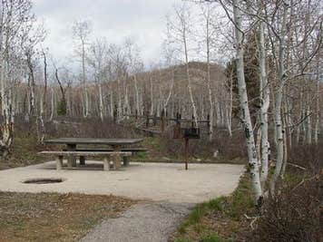 Currant Creek Camping | The Dyrt