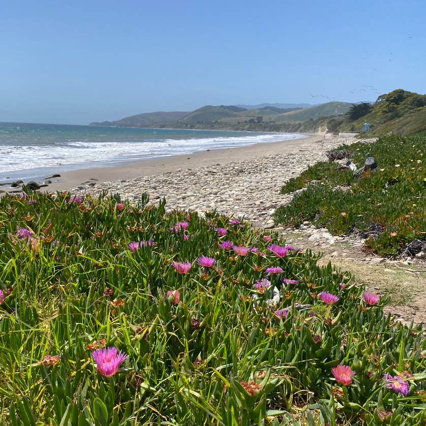 El Capitán State Beach Campground | Goleta, California