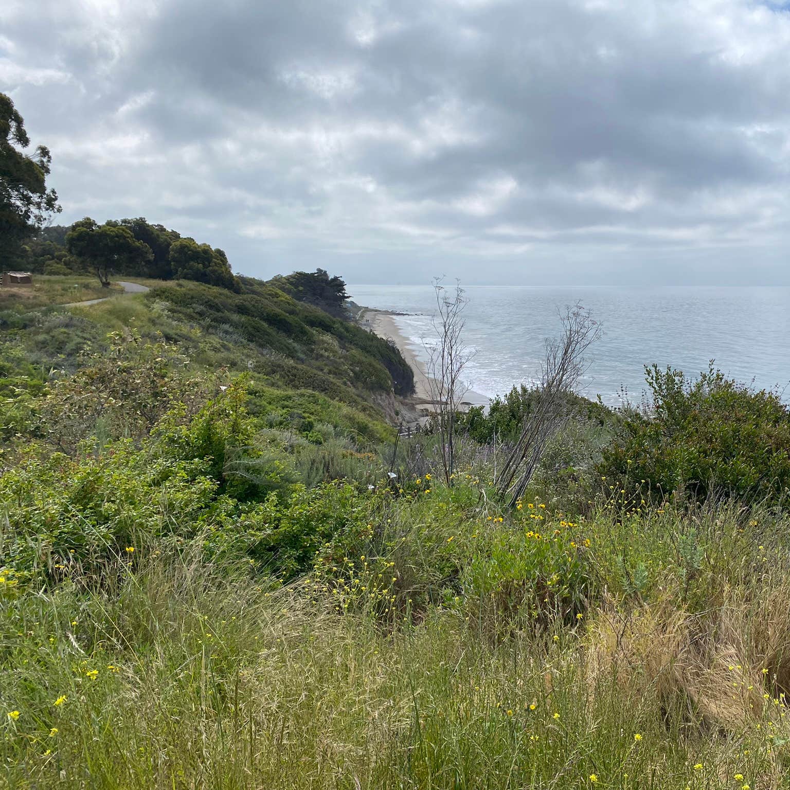 El Capitán State Beach Campground | Goleta, California