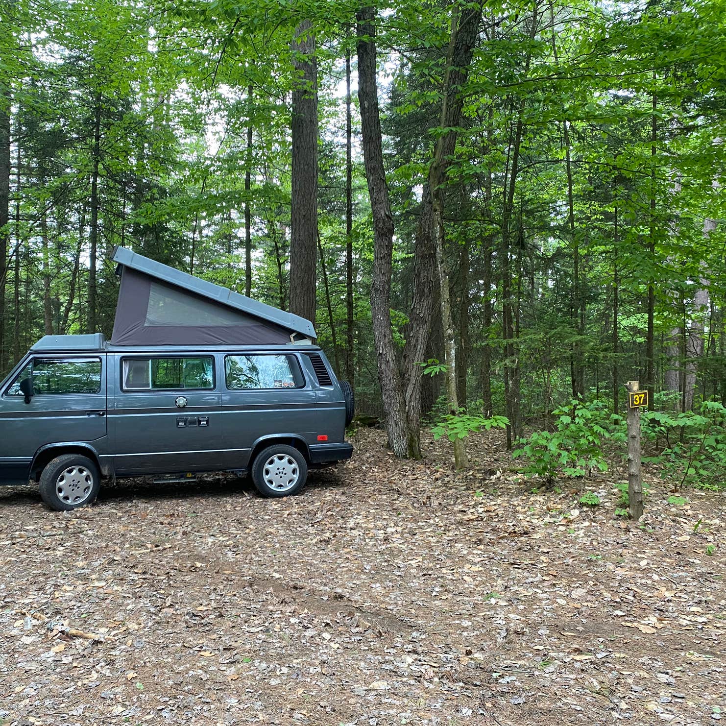 Meadowbrook Campground | Ray Brook, New York