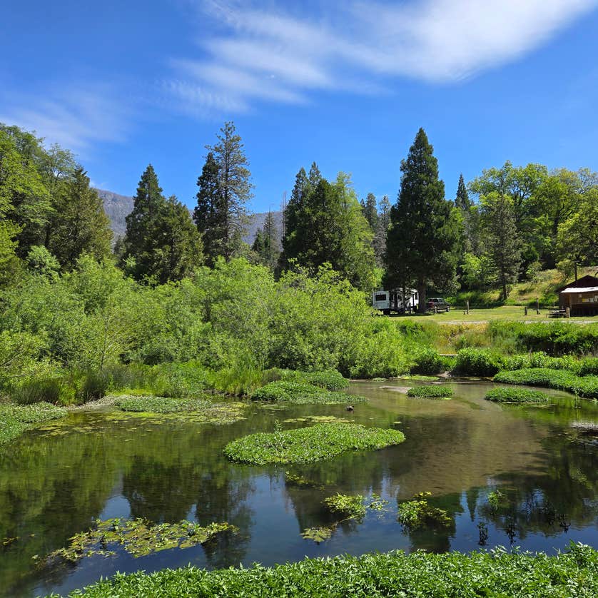 Nelson Falls RV Park | Camp Nelson, California