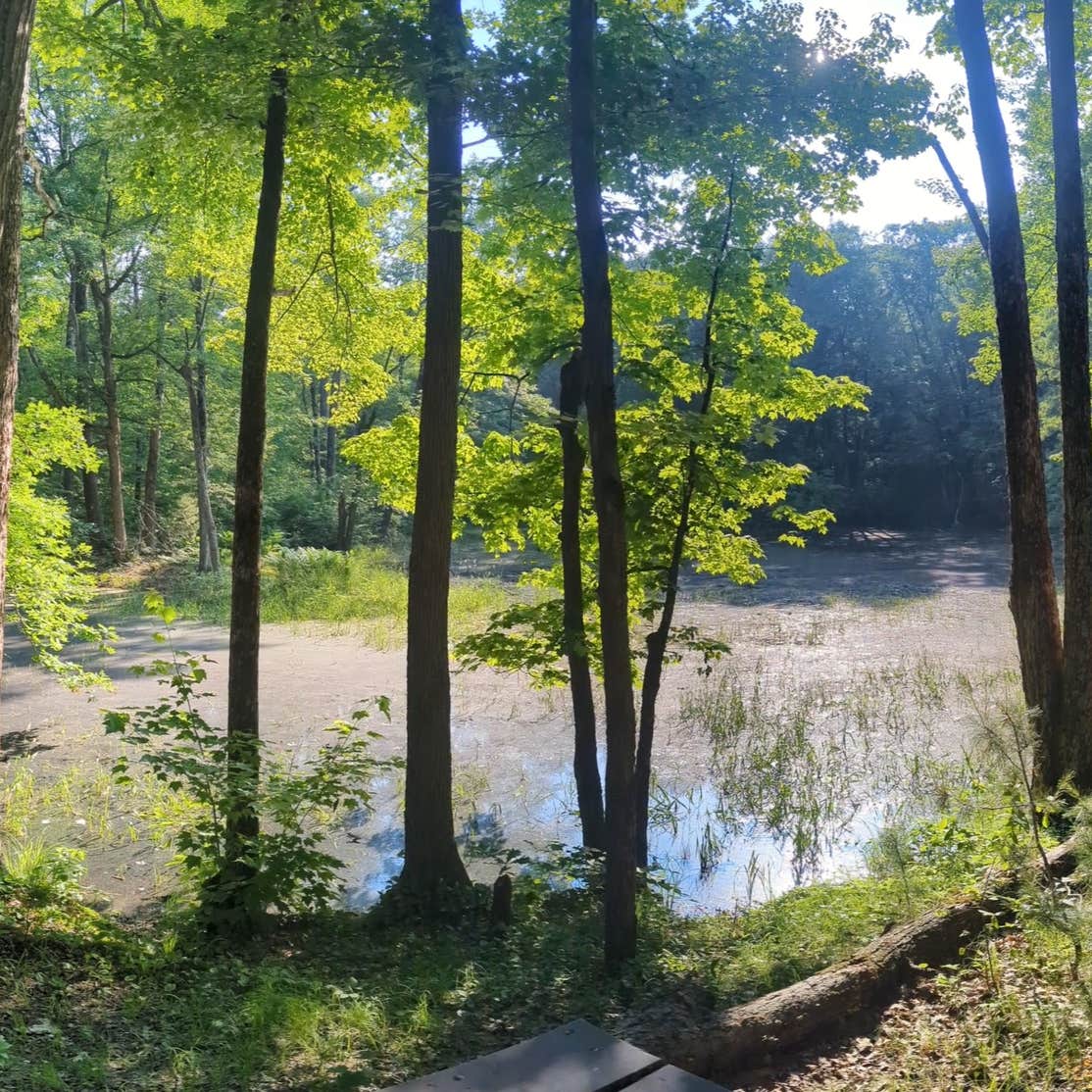 Straight Lake State Park Campground | Luck, Wisconsin