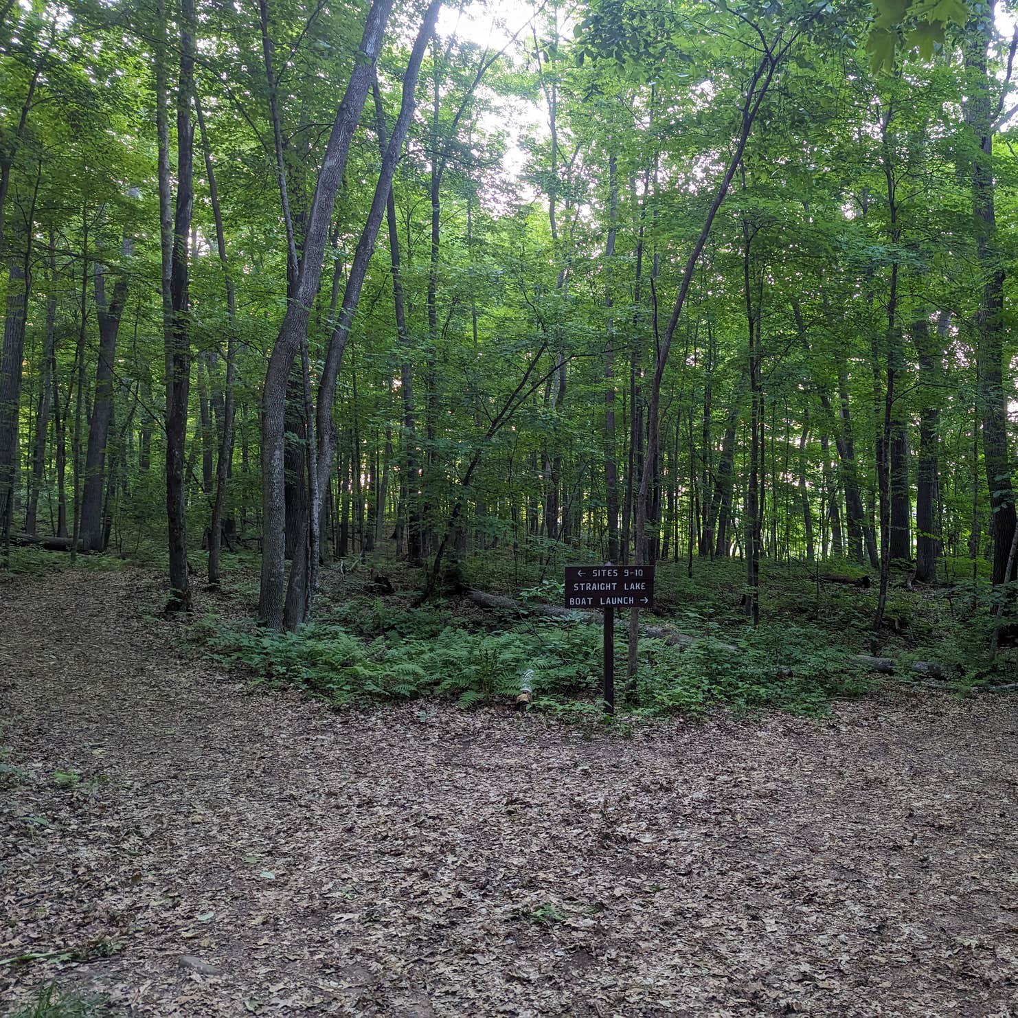 Straight Lake State Park Campground | Luck, Wisconsin
