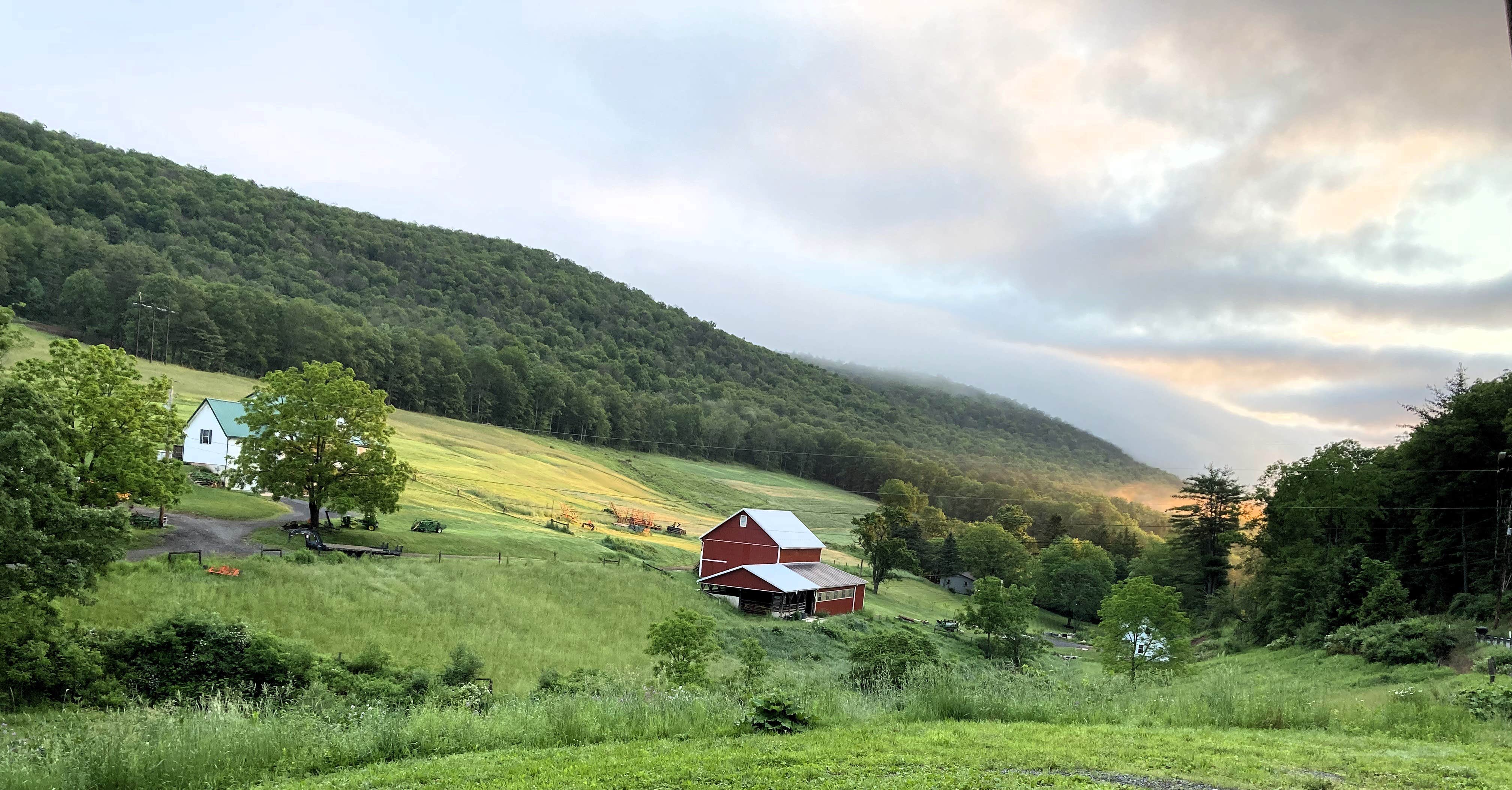 Pear Tree Cove Camping | Mill Hall, PA