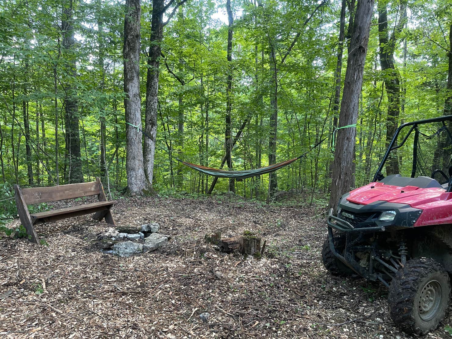 Raulston Woods Camping | Jasper, TN