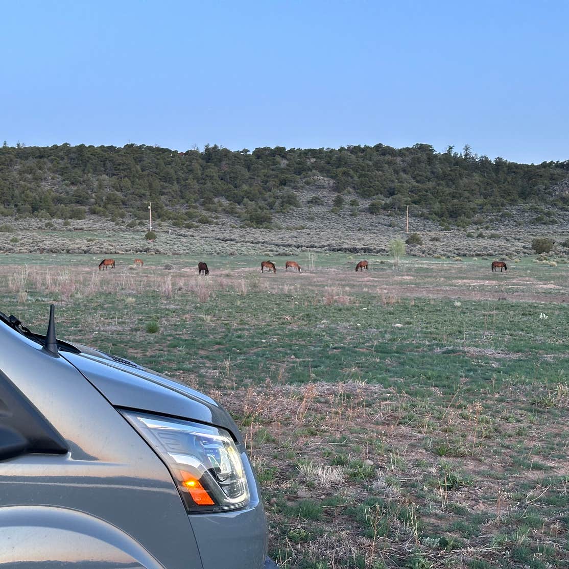 Wild Horse Mountain View Camping | San Luis, Colorado