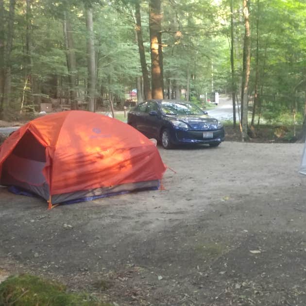 Clarksburg State Park Campground | Clarksburg, MA