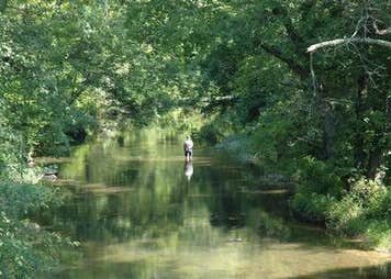 Elizabeth Furnace Campground Camping | The Dyrt