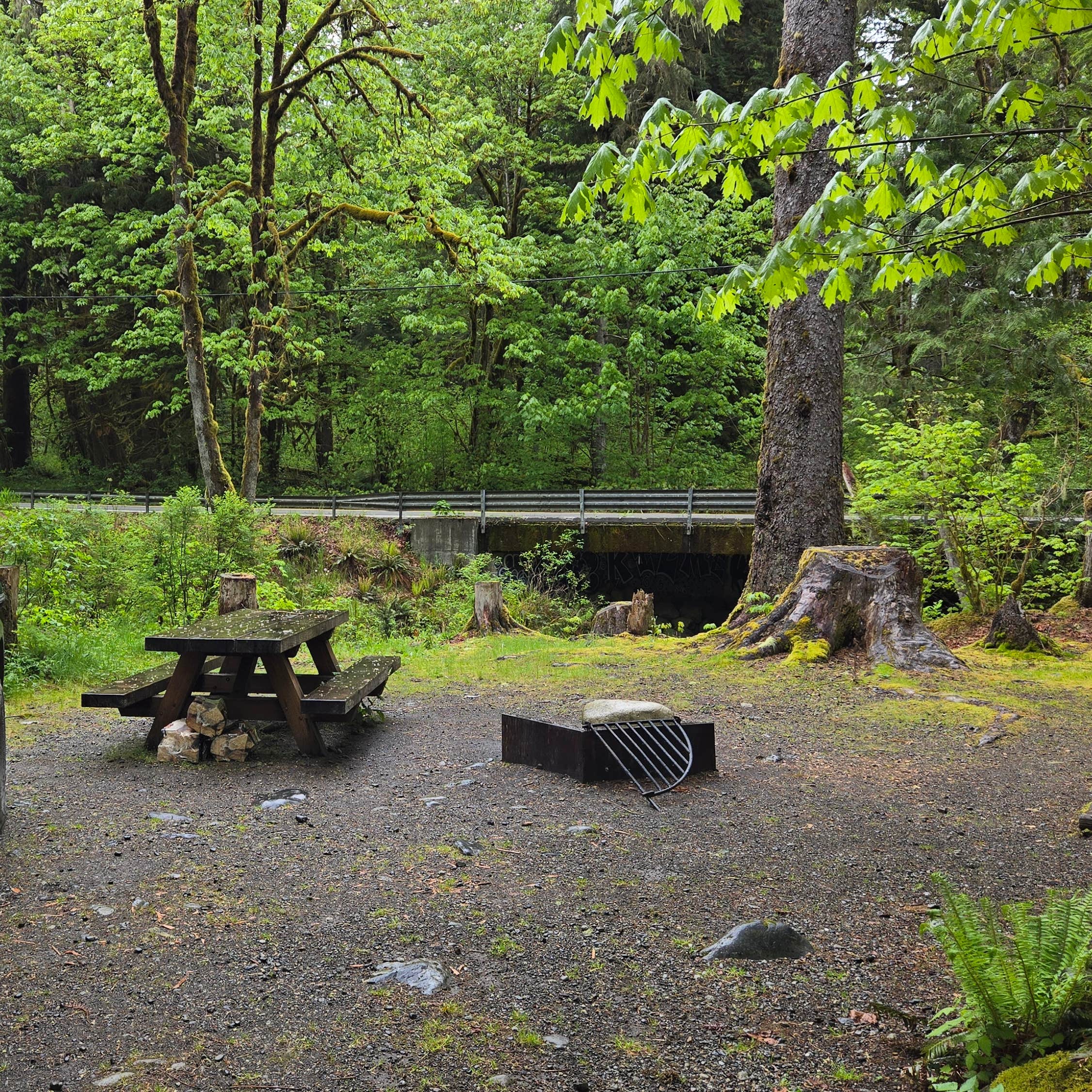 Verlot Campground | Granite Falls, WA
