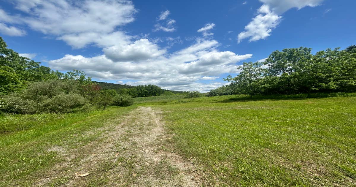 Wilson Hollow Boondock Camping | Pennsylvania Furnace, Pennsylvania