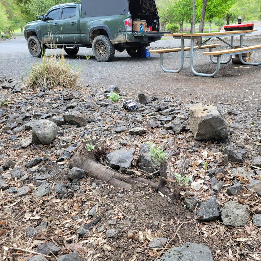 Sun Lakes-Dry Falls State Park Camping | Coulee City, Washington