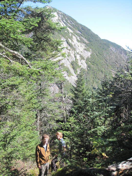 Marcy Dam Backcountry Campsites | Keene Valley, NY