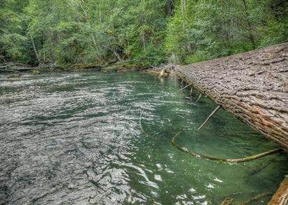 Adams Fork Campground Camping | The Dyrt