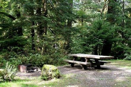 Bedal Campground | Darrington, WA