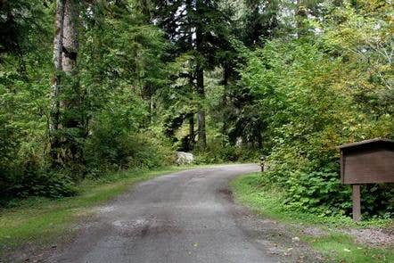 Bedal Campground | Darrington, WA