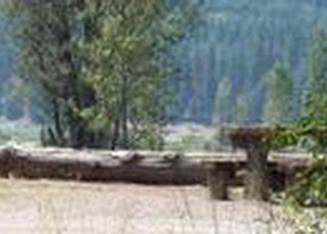 Cle Elum River Campground Camping | The Dyrt