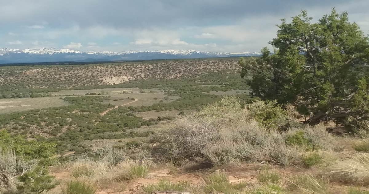 Dry Creek Ditch Camp off Forest Road 90 | Montrose, Colorado