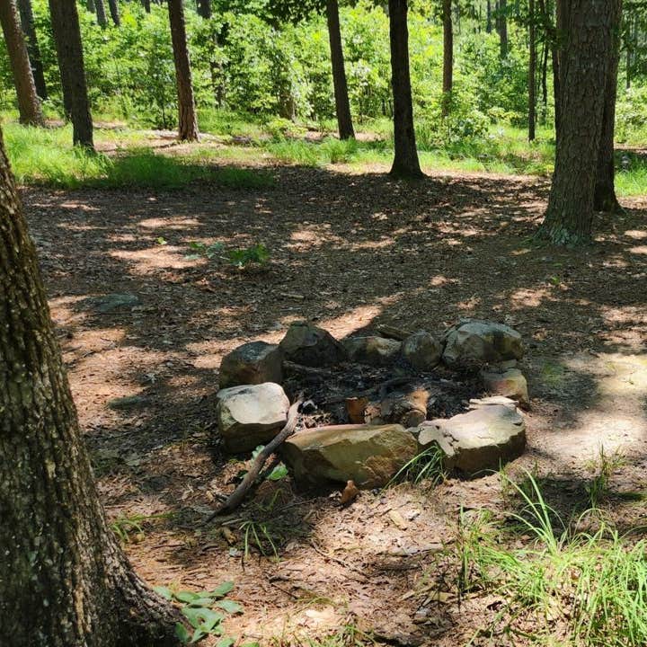 Dispersed FR132 Ouachita National Forest, AR Camping | Jessieville, Arkansas