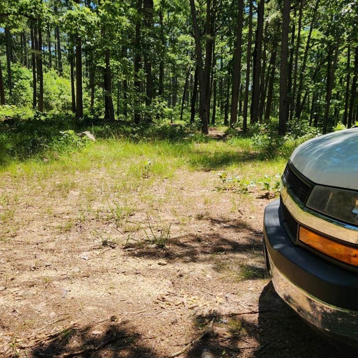 Dispersed FR132 Ouachita National Forest, AR Camping | Jessieville, Arkansas