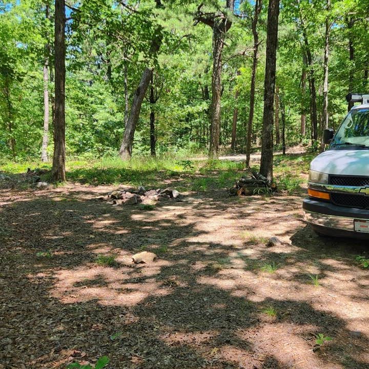 FR132-Grindstone Rd Dispersed, Ouachita NF, AR Camping | Jessieville, AR