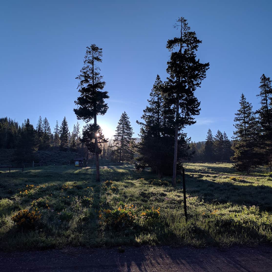 Turpin Meadow Campground | Moran, Wyoming