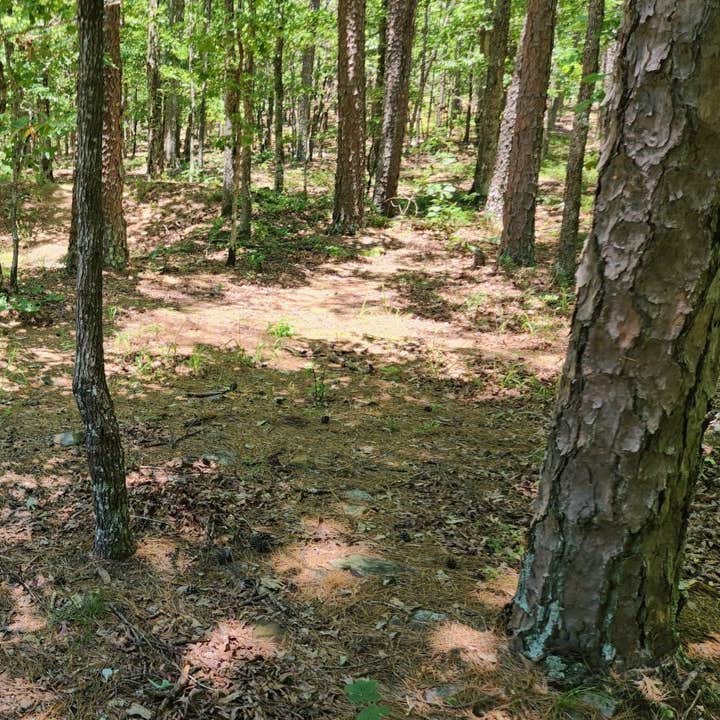 FR132 Wilderness Boundary Dispersed, Ouachita NF, AR Camping | Jessieville, AR