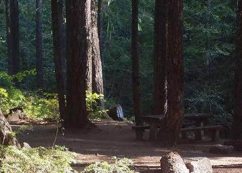 Kachess Campground Camping | The Dyrt