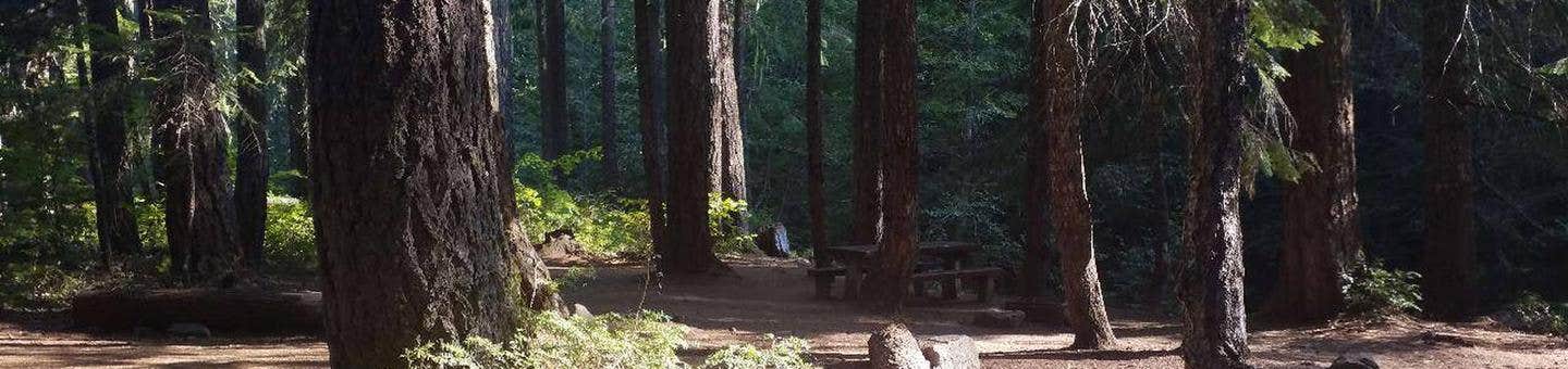 Kachess Camping | The Dyrt