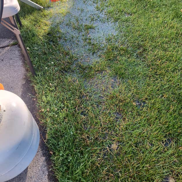 Premier RV Resort | Salem, Oregon