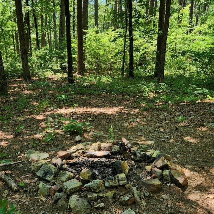 FR132/152 T-Junction Dispersed, Ouachita NF, AR Camping | Paron, Arkansas