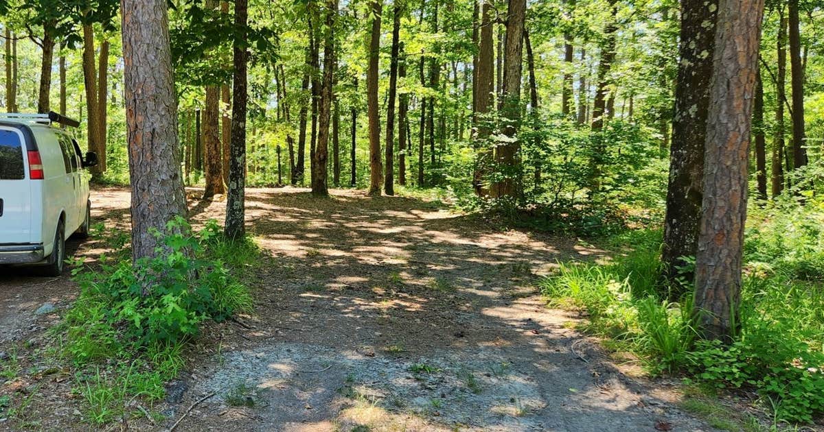 FR132/152 T-Junction Dispersed, Ouachita NF, AR Camping | Paron, Arkansas