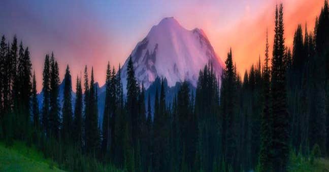 Cougar Rock Campground — Mount Rainier National Park Camping | Longmire ...