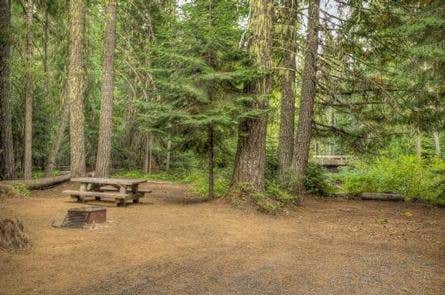THE 10+ BEST Campgrounds near Trout Lake, WA