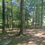 Paynetown Campground | Bloomington, IN