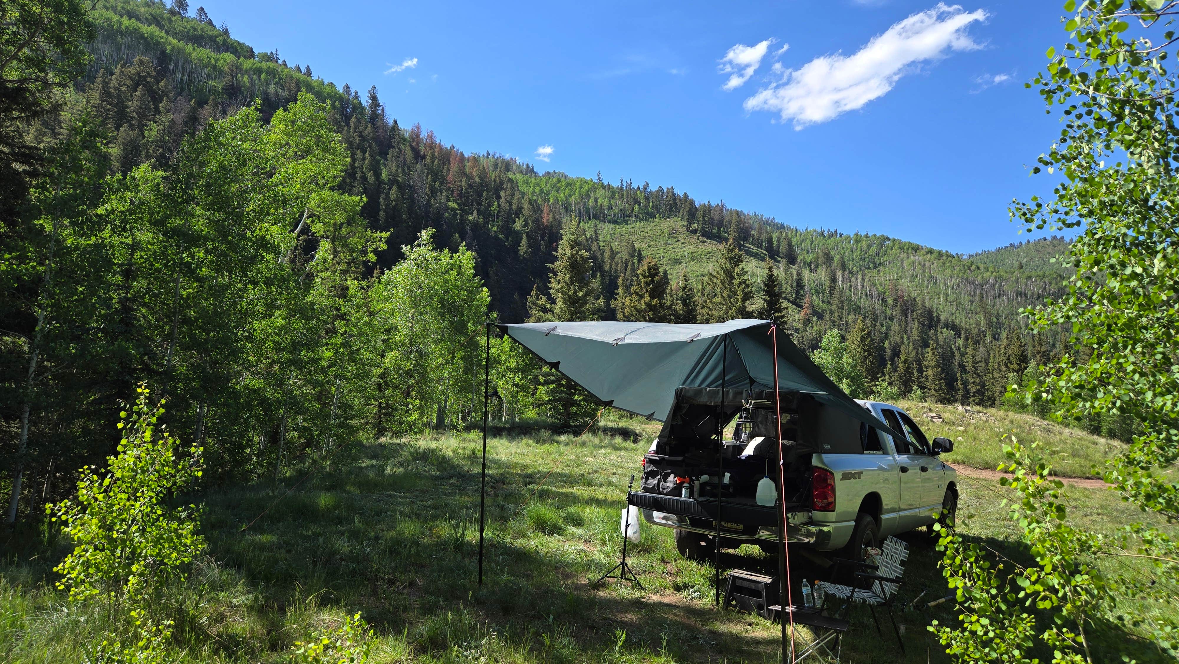 Roche Gulch near Delores River Camping | Rico, CO