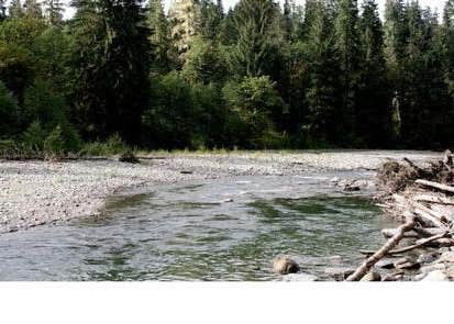 Red Bridge Campground Camping | The Dyrt