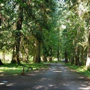 Tower Rock Campground Camping | The Dyrt