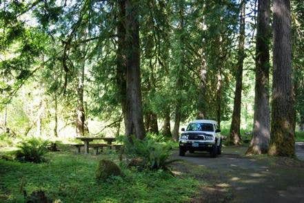 Tower Rock Campground | Randle, WA