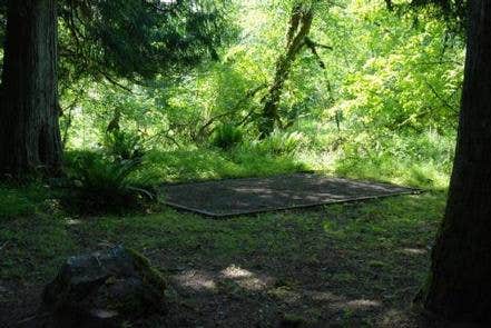 Tower Rock Campground | Randle, WA