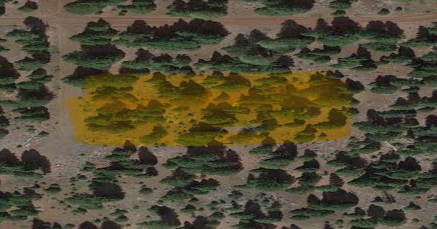 Cal Pines Camping | McArthur, California