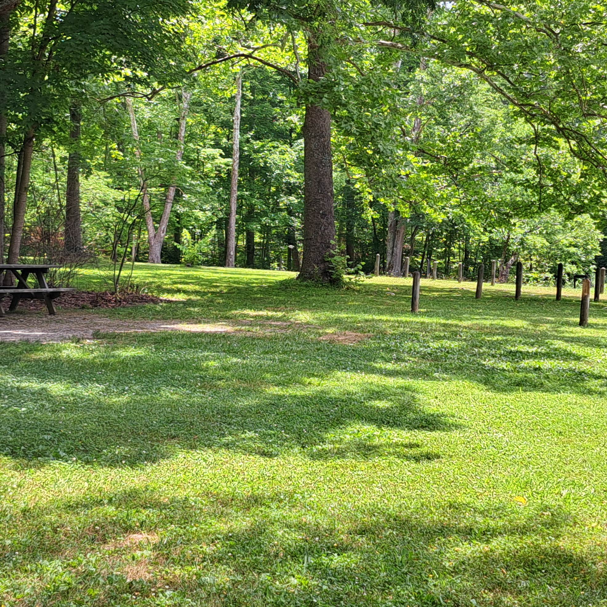 Yellowwood State Forest Camping | Unionville, Indiana
