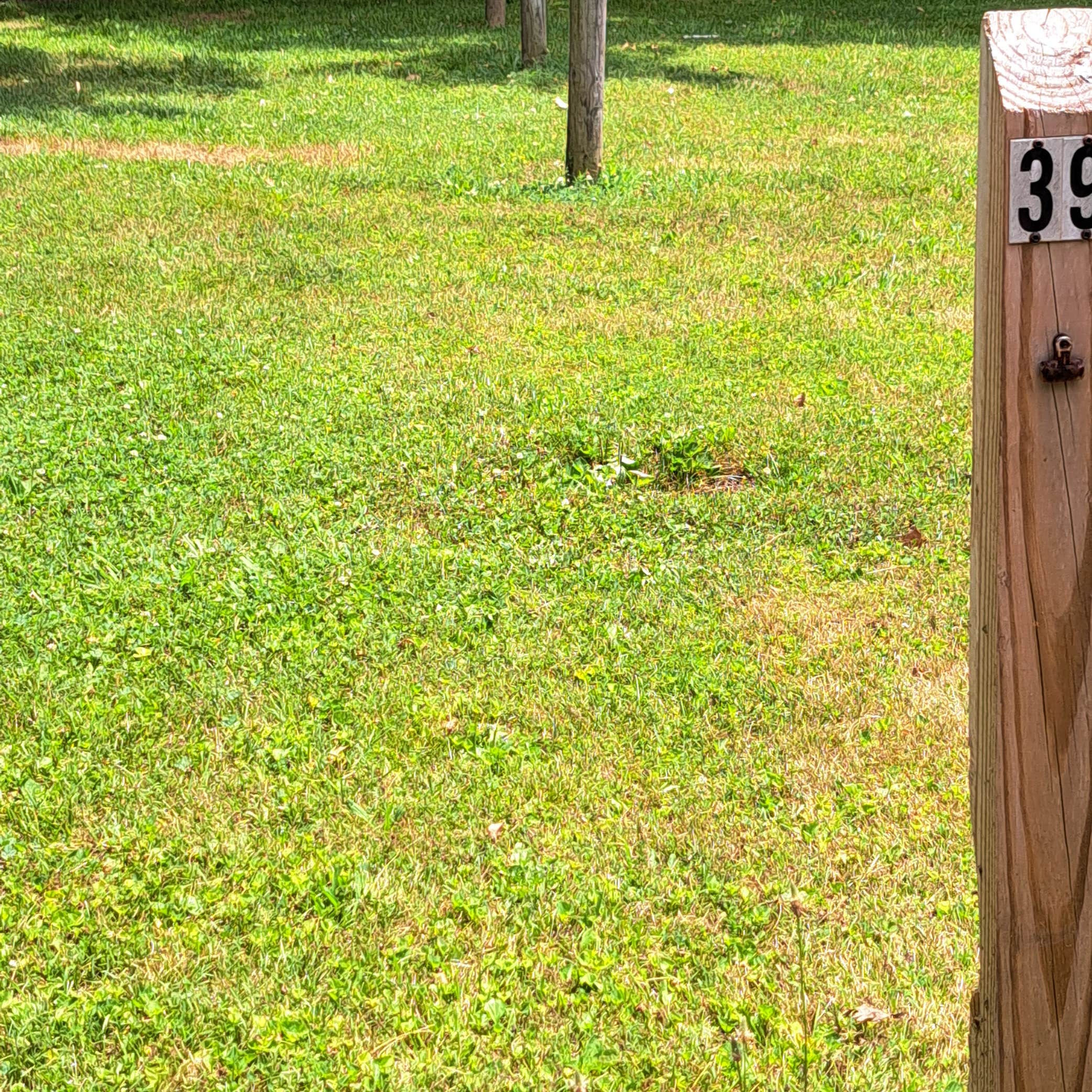 Yellowwood State Forest Camping | Unionville, Indiana