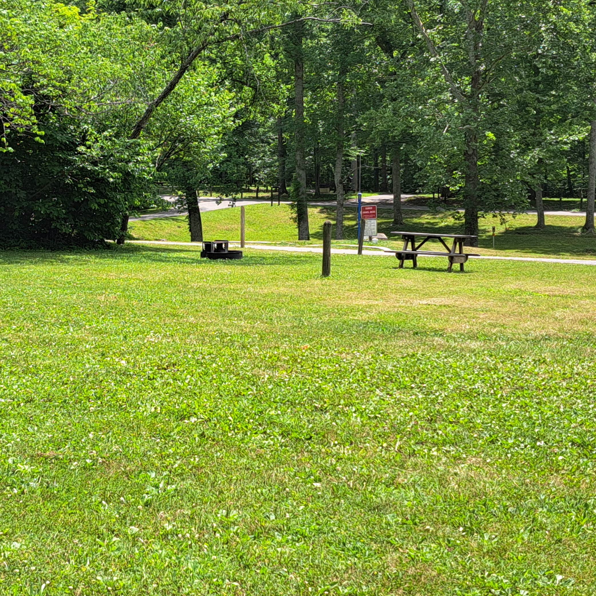 Yellowwood State Forest Camping | Unionville, Indiana