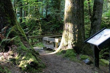 Verlot Campground | Granite Falls, WA