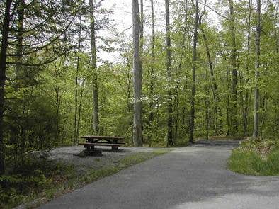 Best Campgrounds in West Virginia