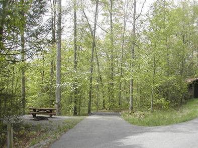 Best Campgrounds near Seneca Rocks, WV